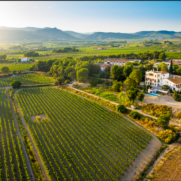 Cellers visitables al Penedès | Ruta del Vi del Penedès